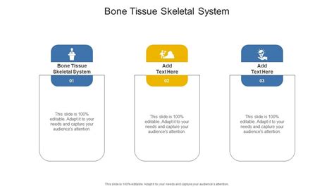 Bone Tissue Skeletal System In Powerpoint And Google Slides Cpb