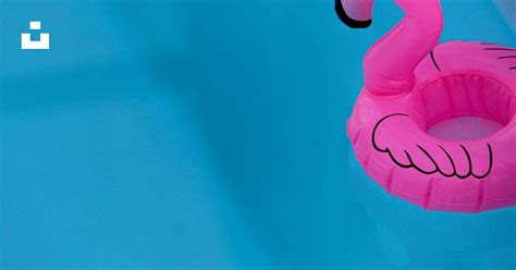 푸른 물에 분홍색 풍선 플라밍고 사진 Unsplash의 무료 여름 이미지