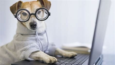 Release Your Inner Geek For Geek Pride Day Blog