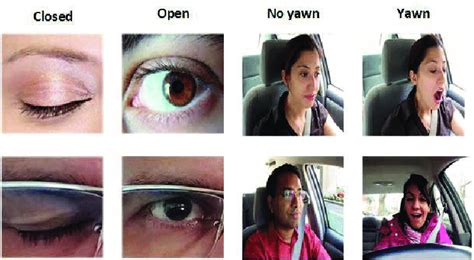 Image Samples In The Dataset Download Scientific Diagram