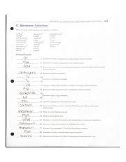 EXERCISE 25 ENDOCRINE STRUCTURE AND FUNCTION 11 EXERCISE 25 ENDOCRINE STRUCTURE AND