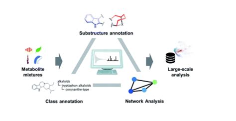 Miacyc Advances In Decomposing Complex Metabolite Mixtures Using Substructure And Network