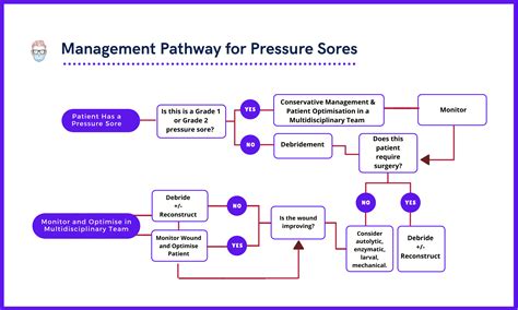 Pressure Ulcerssores Classification Illustrations Treatment