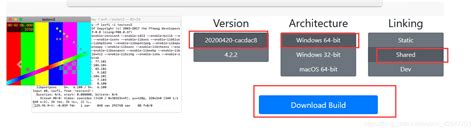 C 截取视频第一帧的图片c截取mp4视频的图片 Csdn博客