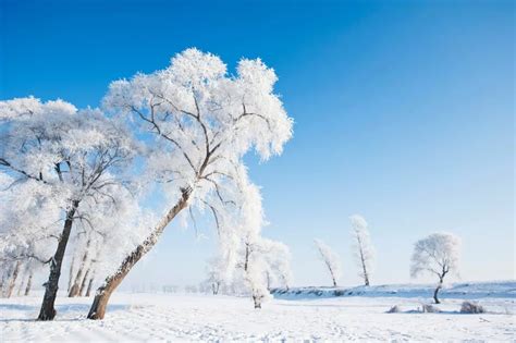 北方大雪图片 漫天 第4页 大山谷图库