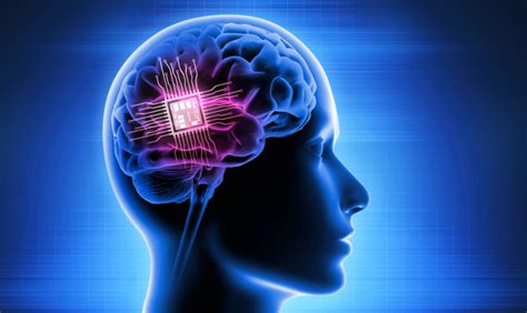 Neuralink Brain Chip Implant Revolutionizing Neurotechnology For Government Exams Current