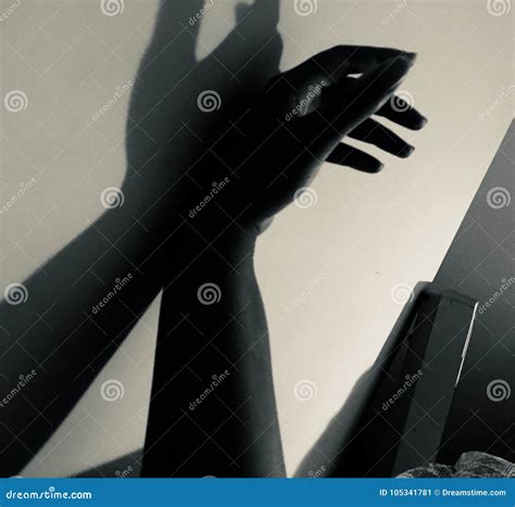 Lazy Shadow Stock Image Image Of Lazy White Catch 105341781