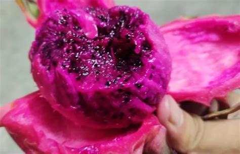What Does Dragon Fruit Taste Like Side Effects Recipes And All
