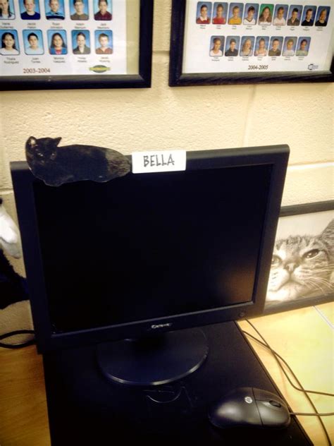 What S Skow Ing On In 4th Grade My 2013 2014 Classroom