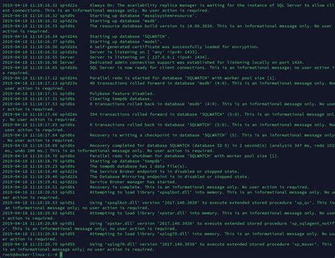 Rapid Sql Server Test Instances With Docker And Azure • Sargable • Making Your Data Available
