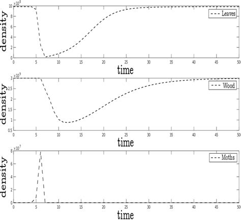 7 Visualization Of Invasion Dynamics In The Local Model Simulation Download Scientific