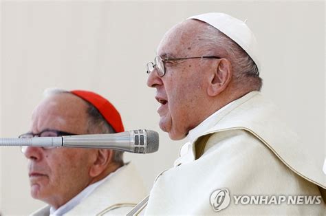 2보 가톨릭 청년축제 세계청년대회 2027년 서울 개최 나무뉴스