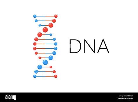 segment dna stock vector images alamy