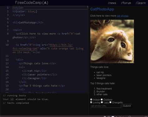 Style Block Working Properly But Answer Not Accepted Html Css The Freecodecamp Forum