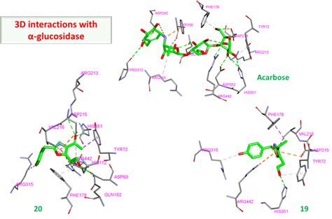 Three Dimensional Interactions Of α Glucosidase With Acarbose And Download Scientific Diagram