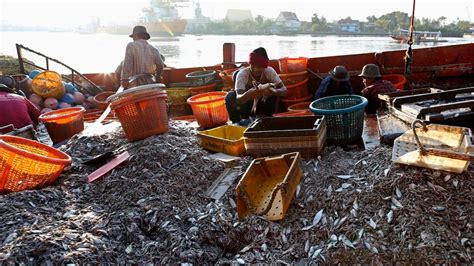 Back To Slavery At Sea Christine News