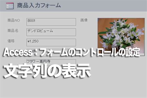 Accessのフォーム上の任意の場所に文字列を表示したい できるネット
