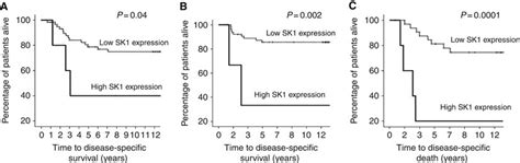 A High Cytoplasmic Sk1 Expression In A Low S1p4 Expression Background