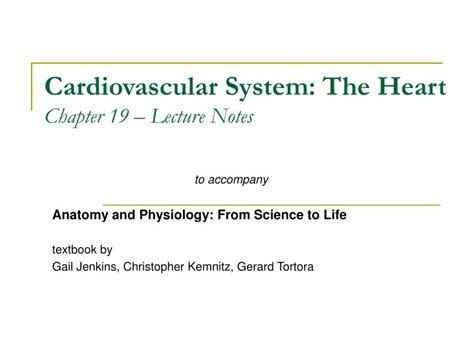 Ppt Cardiovascular System The Heart Chapter 19 Lecture Notes Powerpoint Presentation Id