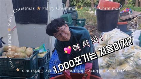 난 캠핑하러 왔다구요 김치 지옥에 빠진 날 Youtube