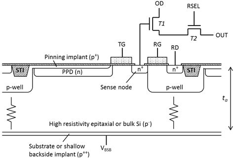Design And Performance Of A Pinned Photodiode Cmos Image Sensor Using Reverse Substrate Bias