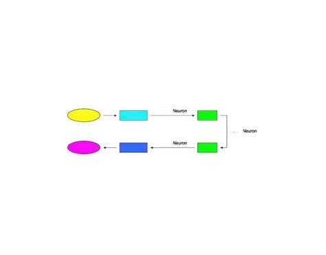 Stimulus Response Model Quiz