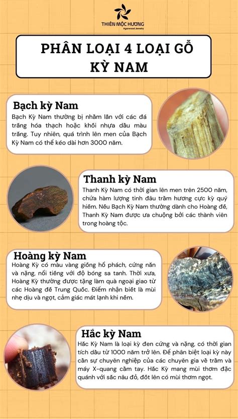 Kỳ Nam Là Gì Thông Tin Mới Từ A Z Về Gỗ Kỳ Nam 2024