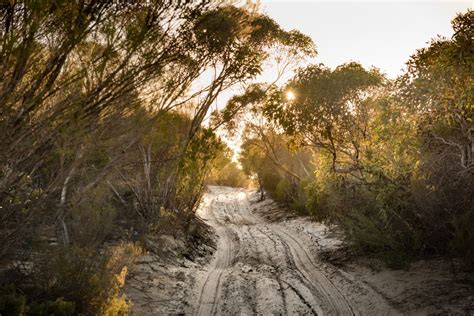 Discover Victorias Desert Country In The Wimmera Mallee Visit