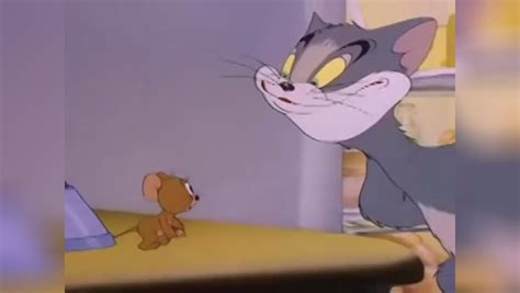 کارتون موش و گربه قسمت دو ویدوگرام