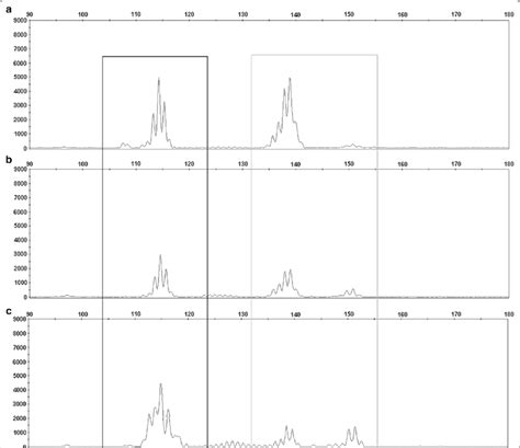 Electropherograms Obtained For DNA Fragment Analysis By Capillary Download Scientific Diagram