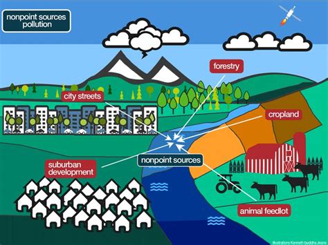 Protecting Watersheds Understanding Nonpoint Source Pollution