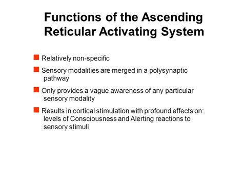 Structure And Functions Of The Reticular Activating System Notes From