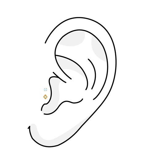 Tragus Piercings How To Style Your Tragus Piercing Tragus Rings