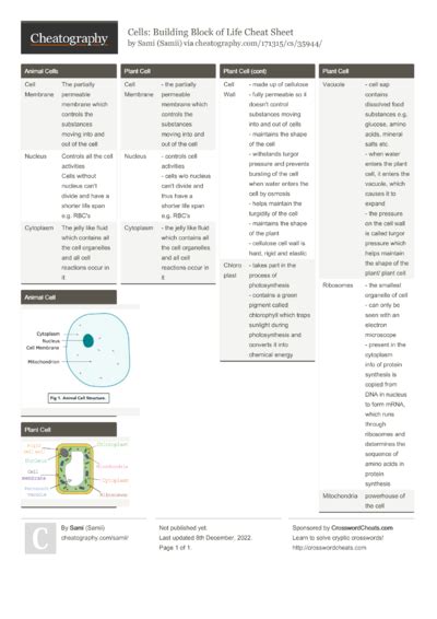 34 Igcse Cheat Sheets Cheat Sheets For Every Occasion