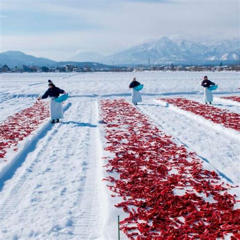 Kanzuri Fermented Chili Paste Kokoro Care Packages