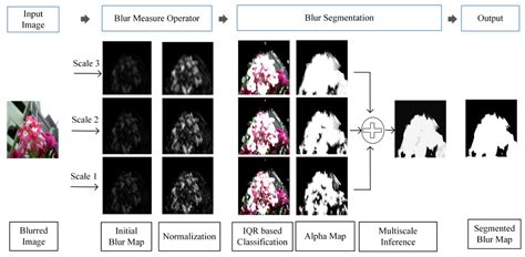 Analysis Of Blur Measure Operators For Single Image Blur Segmentation