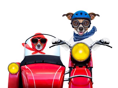 Implementing Sidecar Proxies For Traffic Management In Microservices