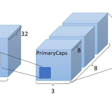 Structure Of The Proposed Capsule Network For Classification And Download Scientific Diagram