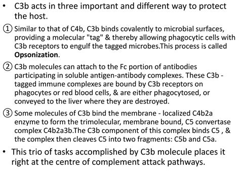 The Complement System In Immunology PPTX Blood Disorders Diseases