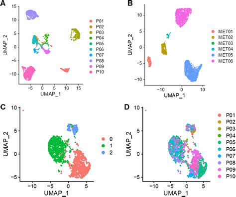 Unsupervised Clustering Analysis Of Tumor Cells And Cancer Associated Download Scientific