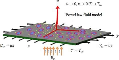 Physical Model With Coordinate Representation Download Scientific