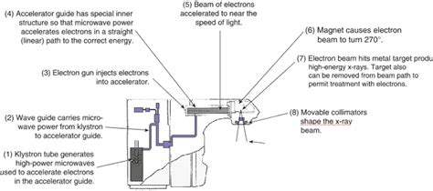 Parts Of Linac Diagram Quizlet