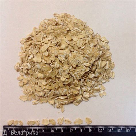 Купить овсяные хлопья в СПБ оптом ТД Белагрика