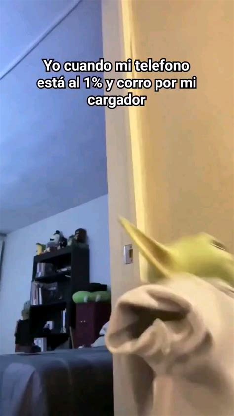 Confirmo R Rakkun