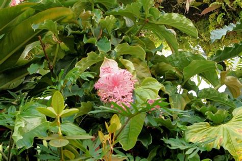 Image Color Extraction With Python In 4 Steps Towards Data Science