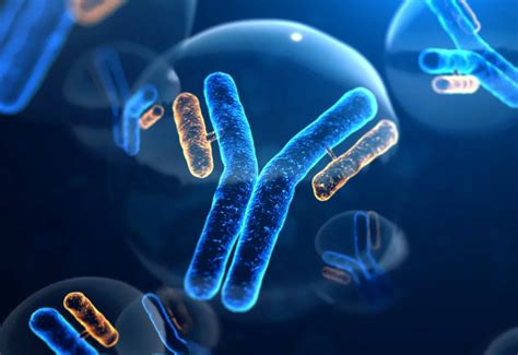 重组抗体高效表达秘籍 知乎