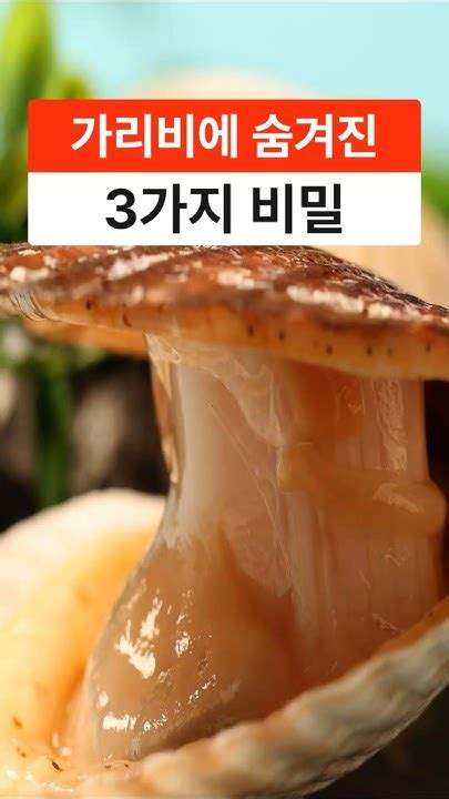 가리비에 숨겨진 3가지 비밀 가리비 조개 비밀 조개 가리비영양 가리비효능 가리비눈 Youtube