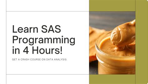 Crash Course Sas Programming From Scratch With Workout Best Ai