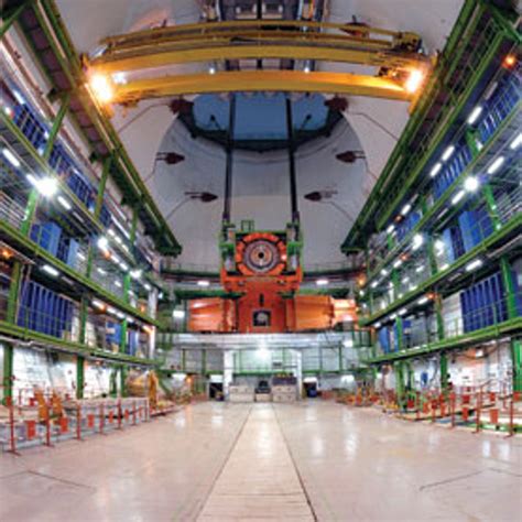 Particles That Flock Strange Synchronization Behavior At The Large Hadron Collider Scientific