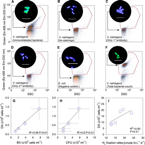 Representative Density Plots Of The Main Verification Tests A F And Download Scientific